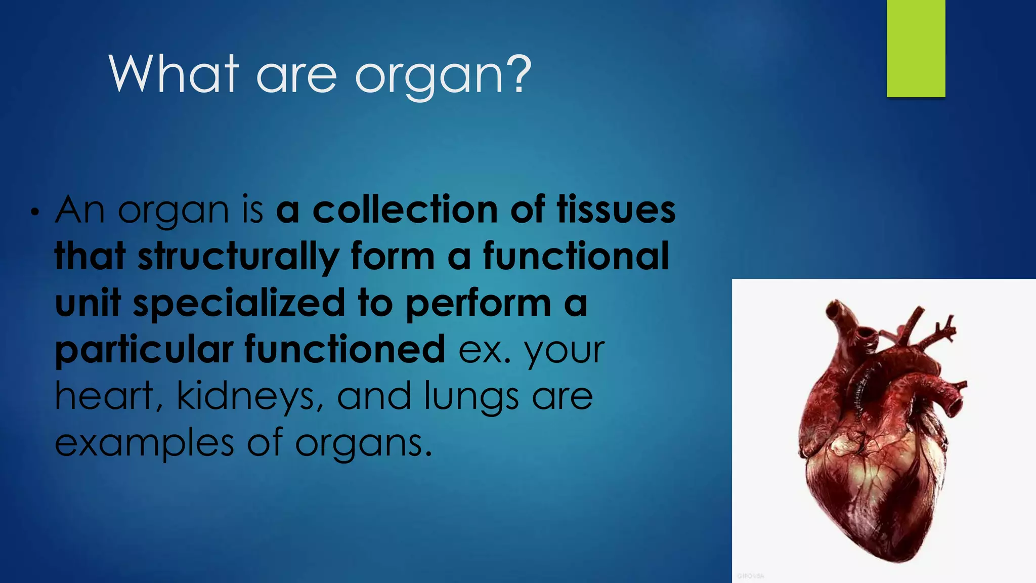 Cells, Tissues and Organ.pptx
