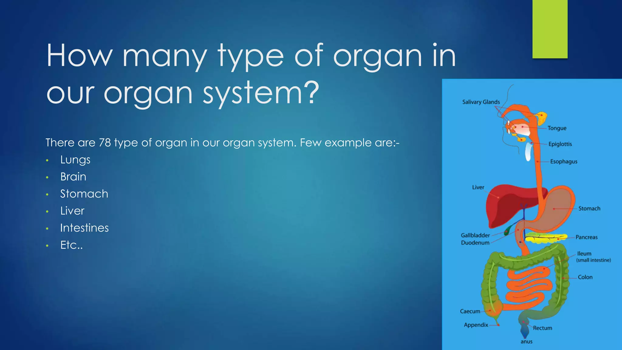 Cells, Tissues and Organ.pptx