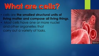 Cells, Tissues and Organ.pptx