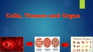 Cells, Tissues and Organ.pptx