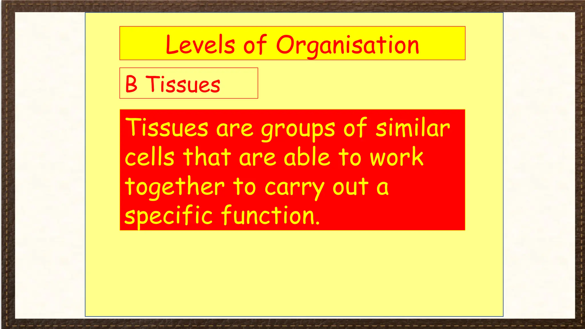 Cells, Tissues and Organs International GCSE Biology | PPTX
