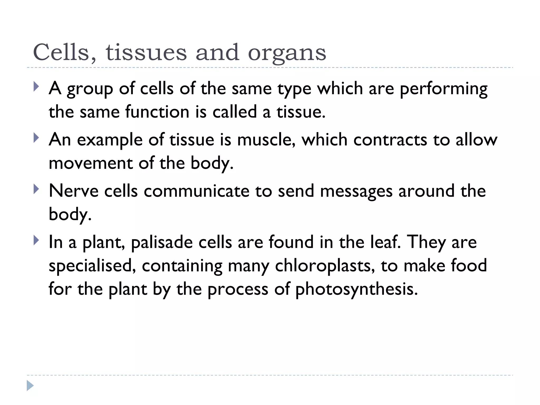 Cells tissues organs | PPT