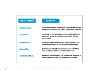 Cells tissues organs | PPT