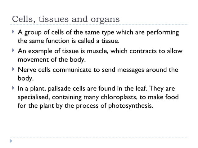 Cells tissues organs | PPT