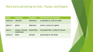 Cells, Tissues, Organs.pptxgggbbbbbbbhhbbhn | PPTX