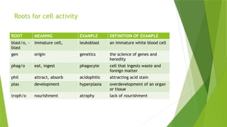 Cells, Tissues, Organs.pptxgggbbbbbbbhhbbhn | PPTX