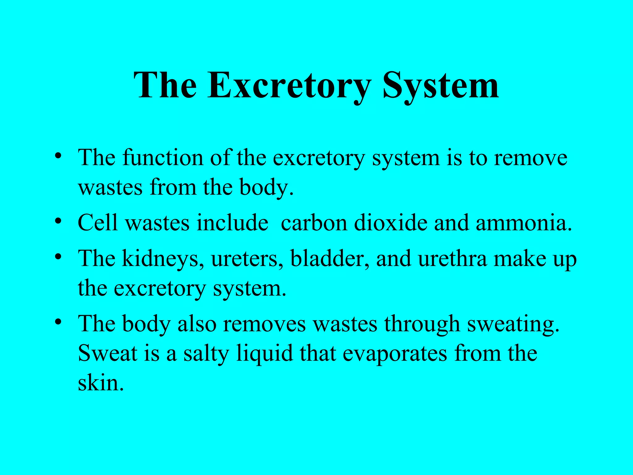 Cells to body systems (science) | PPT