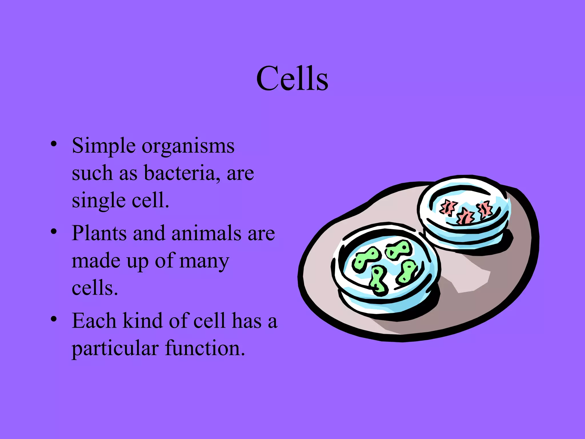 Cells to body systems (science) | PPT