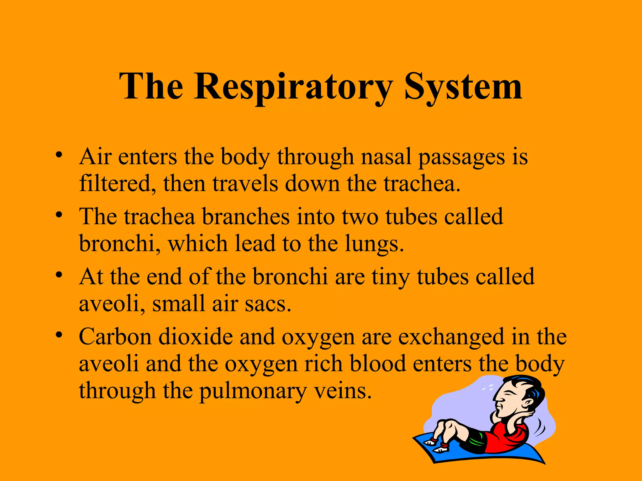 Cells to body systems (science) | PPT
