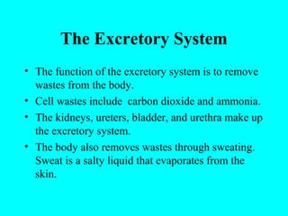 Cells to body systems (science) | PPT