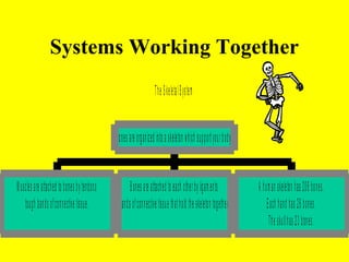Cells to body systems (science) | PPT