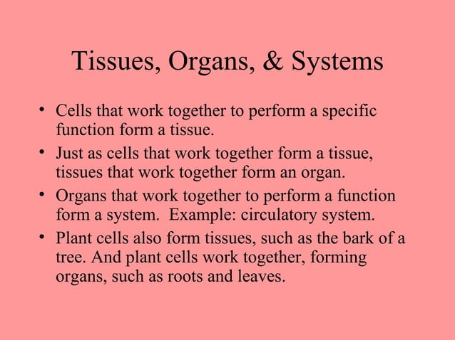 Cells to body systems (science) | PPT