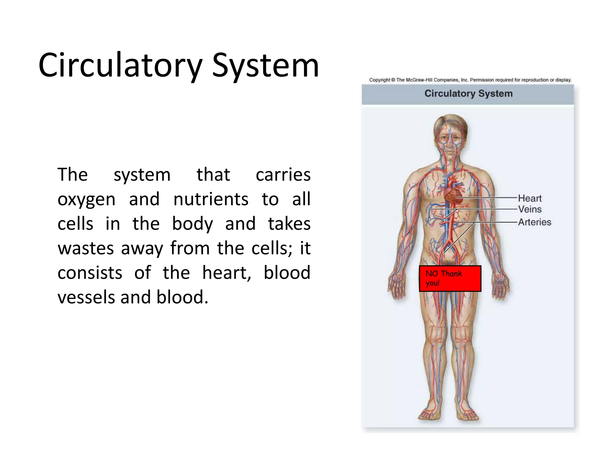 Anatomy - Topic 1 (A) From Cells to organisms | PPT