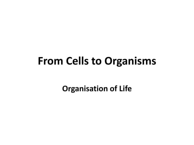 Anatomy - Topic 1 (A) From Cells to organisms | PPT