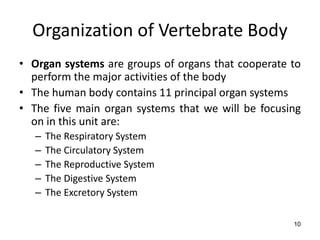 Anatomy - Topic 1 (A) From Cells to organisms | PPT