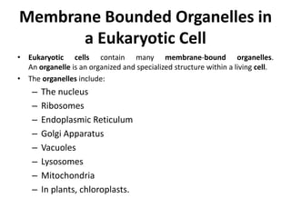 Anatomy - Topic 1 (A) From Cells to organisms | PPT