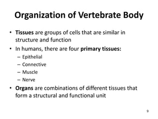Anatomy - Topic 1 (A) From Cells to organisms | PPT