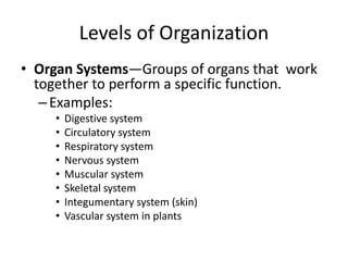 Cells to Organisms.ppt