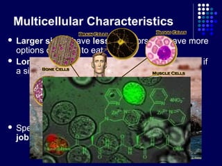 Cells to tissues | PPT