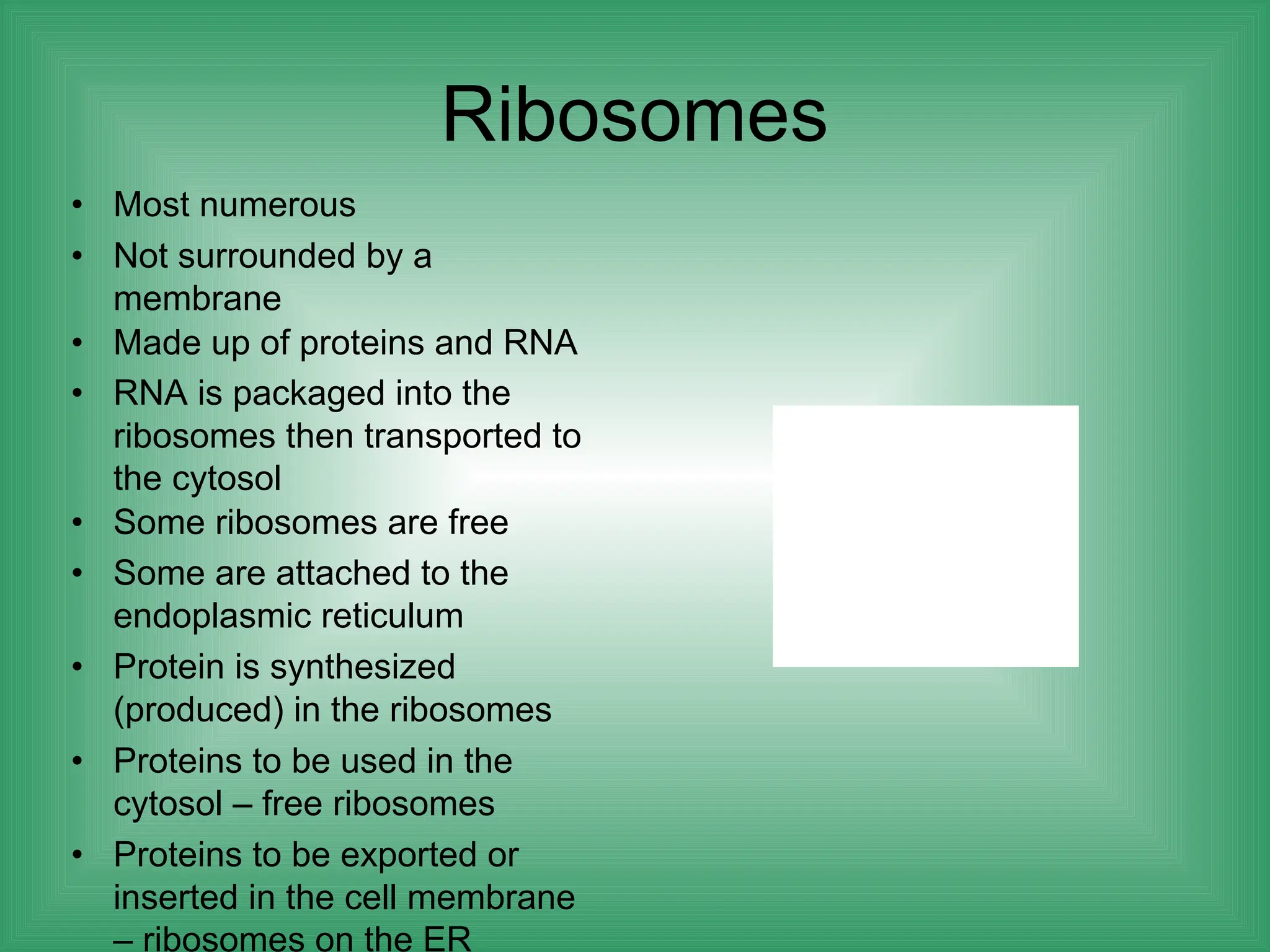 cell structure. and its function in detail | PDF