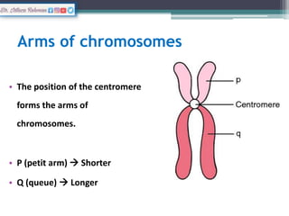 Cell structural & Chromosomal abnormalities.pptx