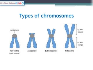 Cell structural & Chromosomal abnormalities.pptx