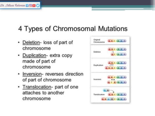 Cell structural & Chromosomal abnormalities.pptx