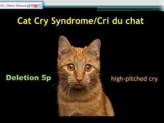 Cell structural & Chromosomal abnormalities.pptx