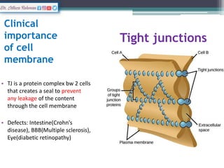 Cell structural & Chromosomal abnormalities.pptx