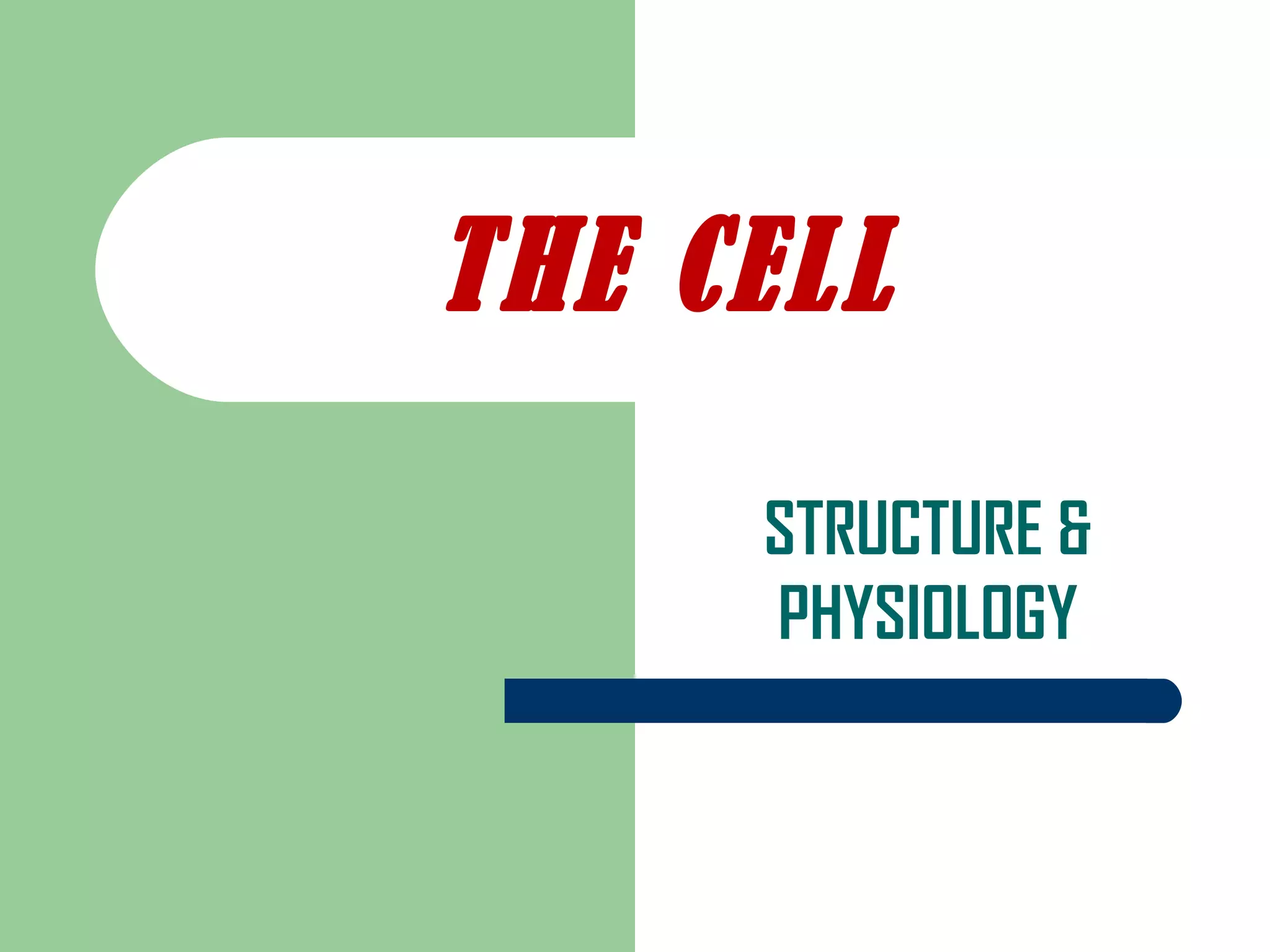 Cell Structure | PPT