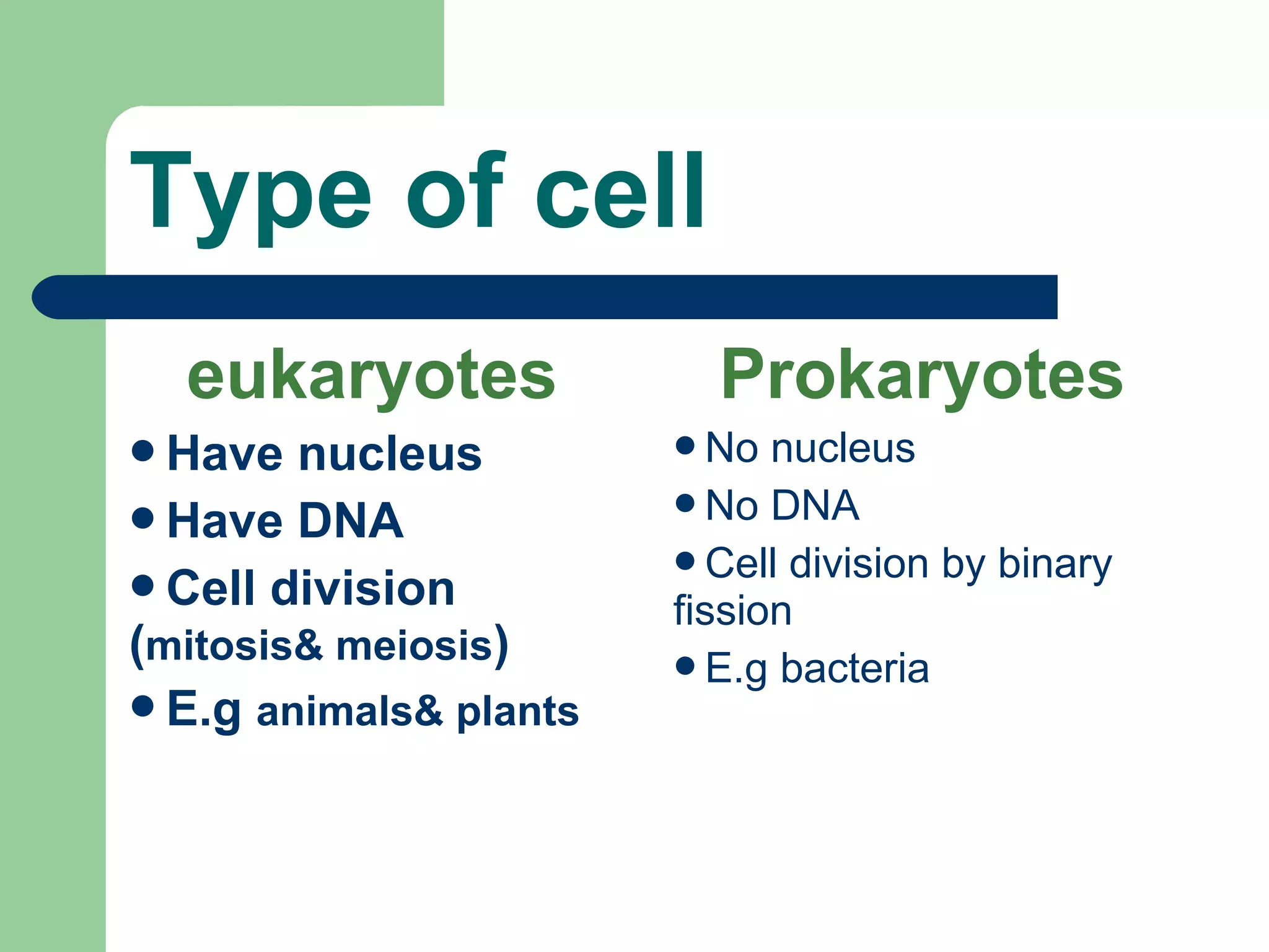 Cell Structure | PPT