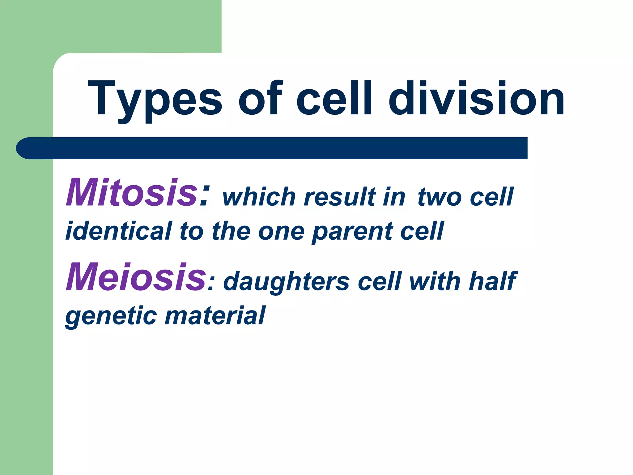 Cell Structure | PPT | Biological Sciences | Science