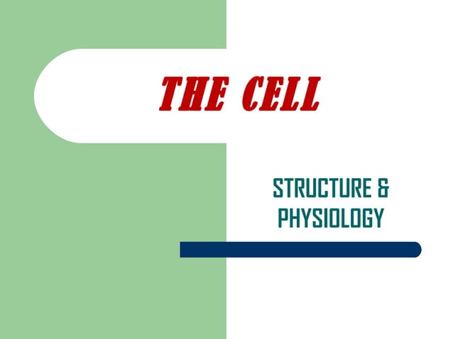 Cell Structure | PPT | Biological Sciences | Science