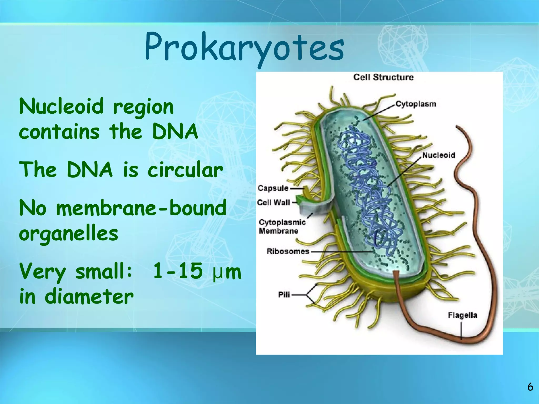 Cell structure | PPT