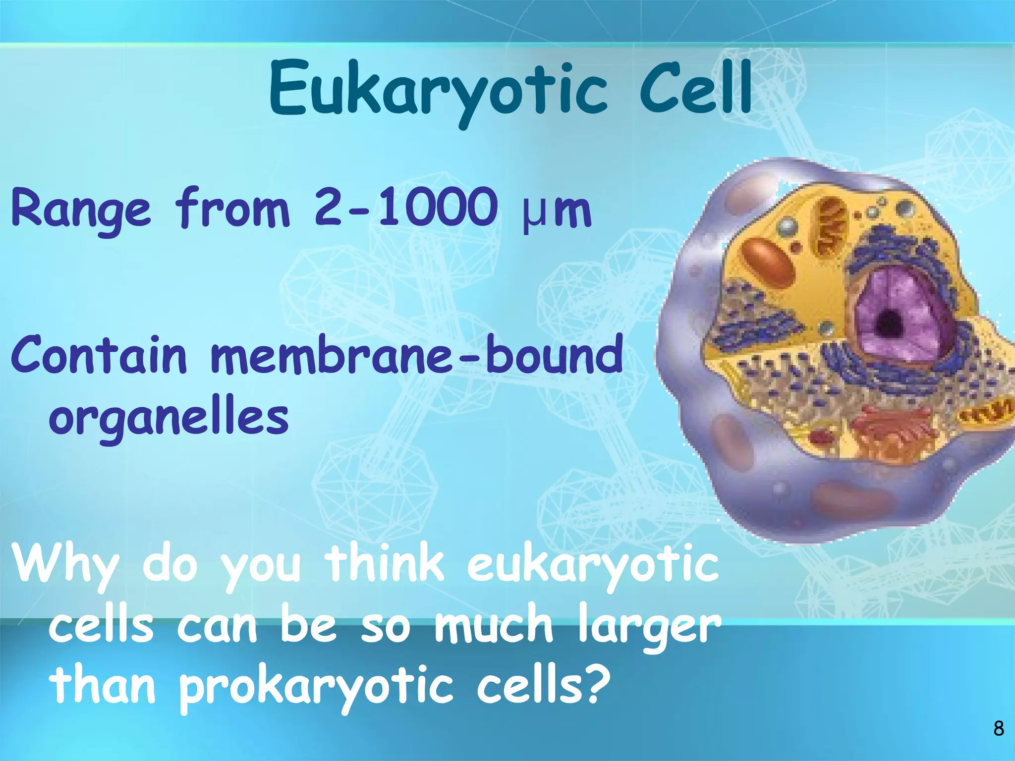 Cell structure | PPT