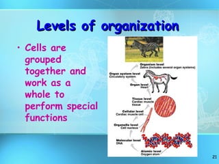 Cell structure | PPT