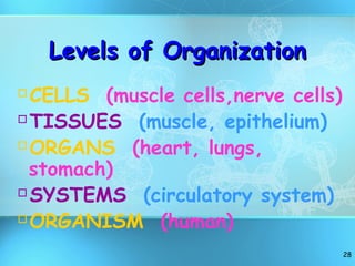 Cell structure | PPT