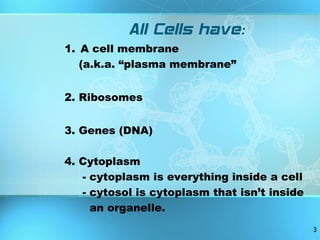 Cell structure | PPT