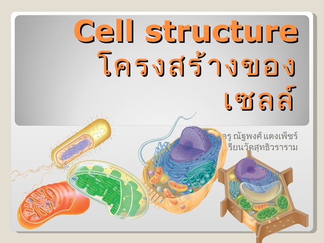 Cell structure suthi | PPT