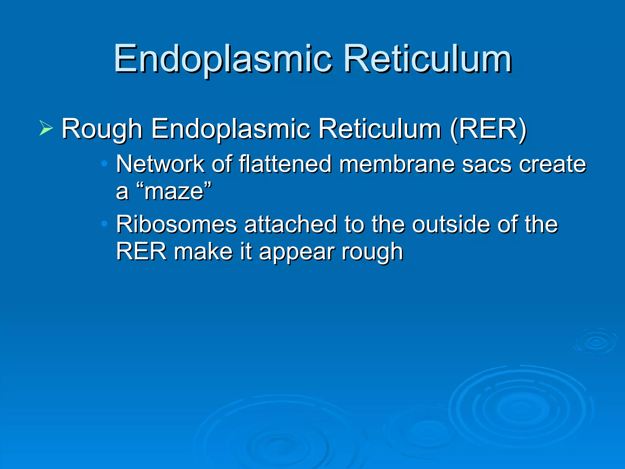 Cell structure and function | PPT