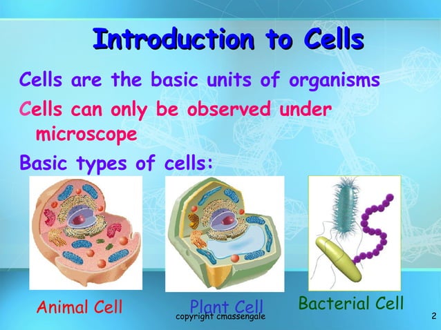 Cell structure | PPT