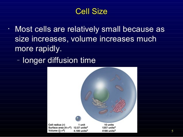 Cell structure