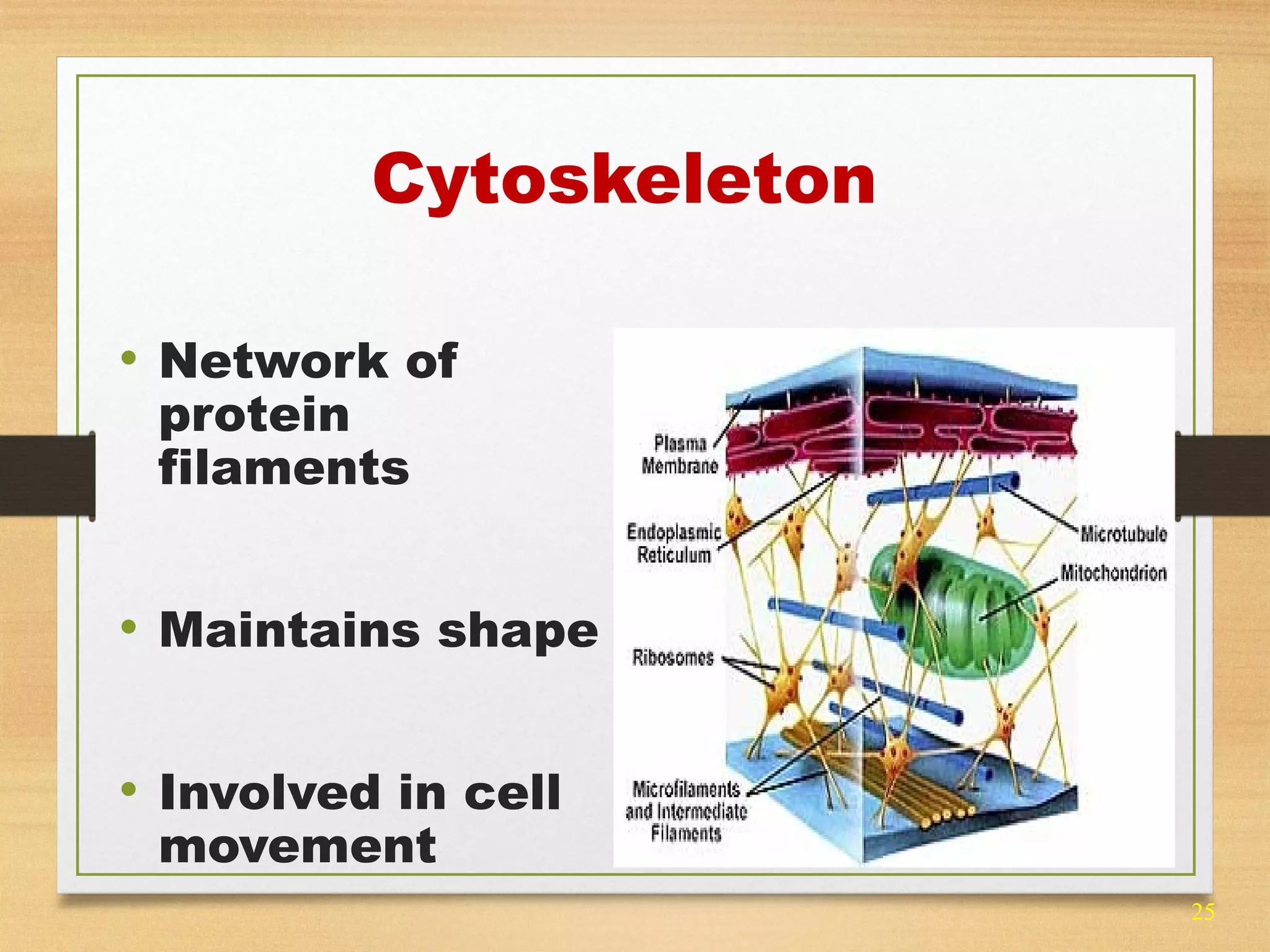 Cell structure | PPT | Biological Sciences | Science