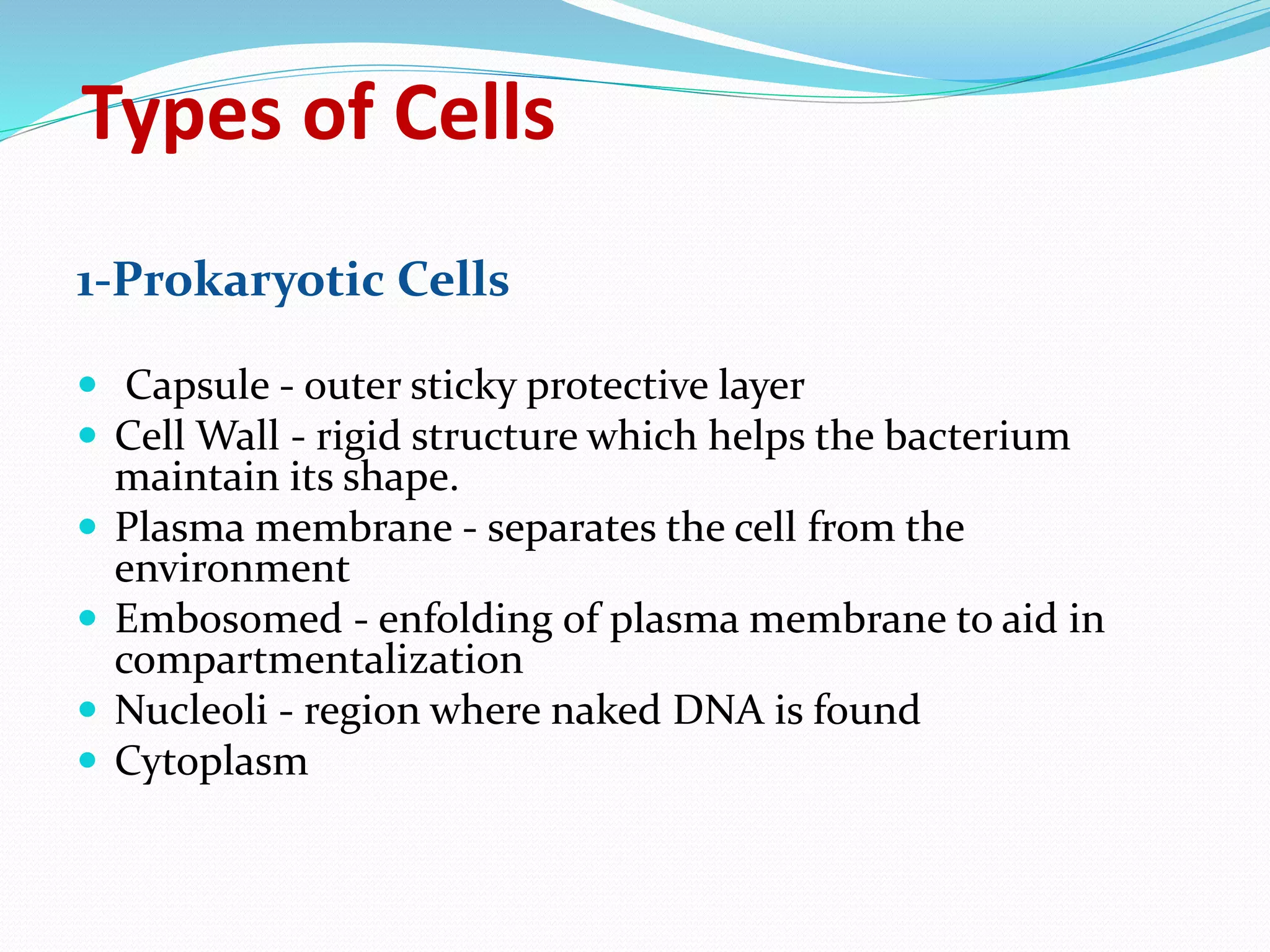 Cell structure | PPTX