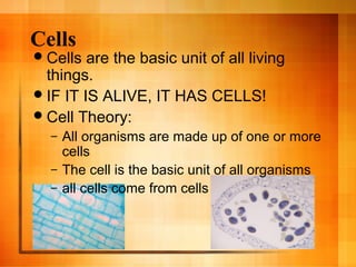 Cell structure | PPT