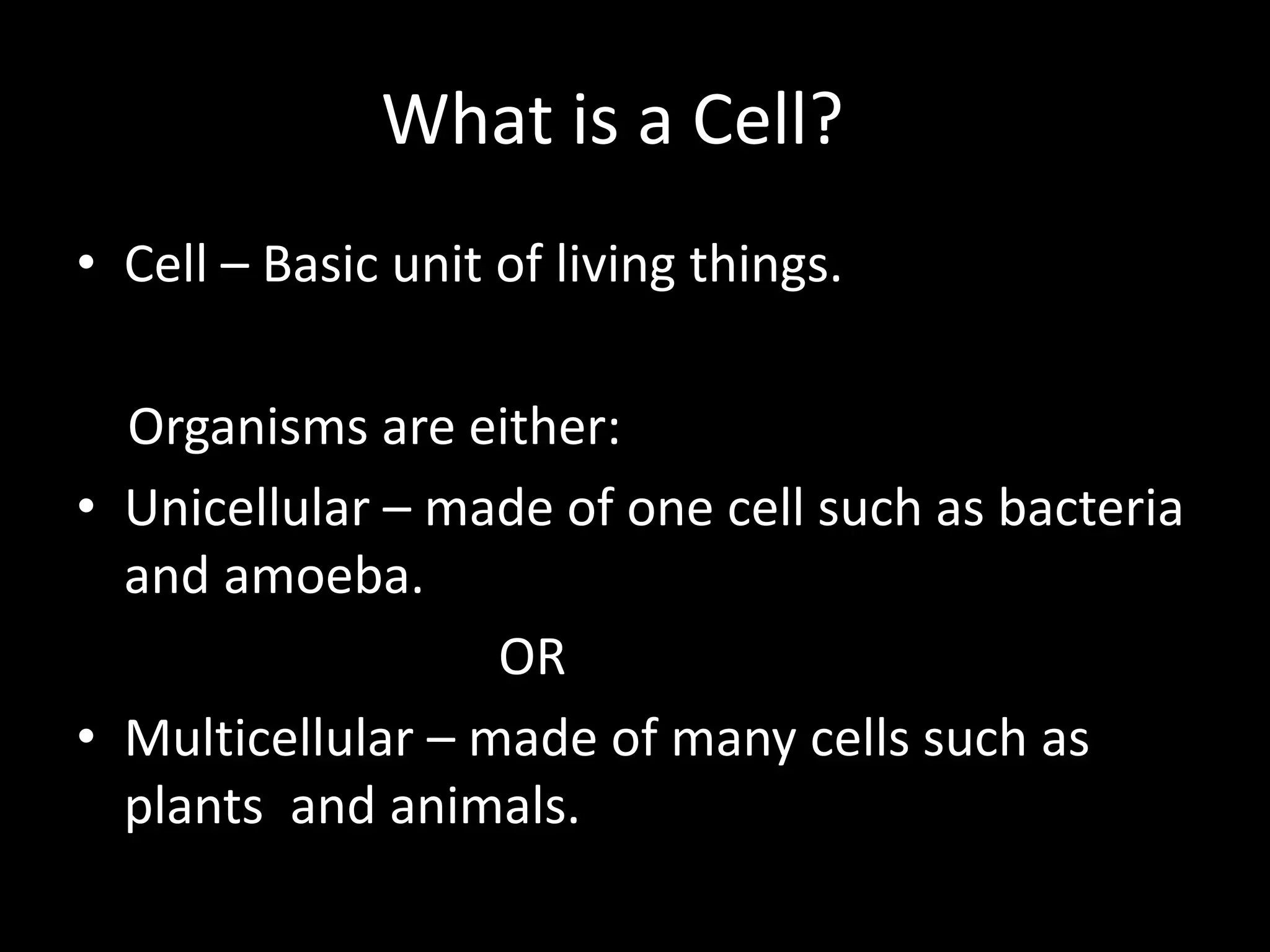 Cell structure, prokaryotice cell, eukaryotic cell, organization of the ...