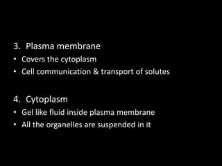 Cell structure, prokaryotice cell, eukaryotic cell, organization of the ...