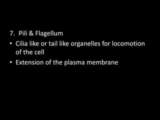 Cell structure, prokaryotice cell, eukaryotic cell, organization of the ...