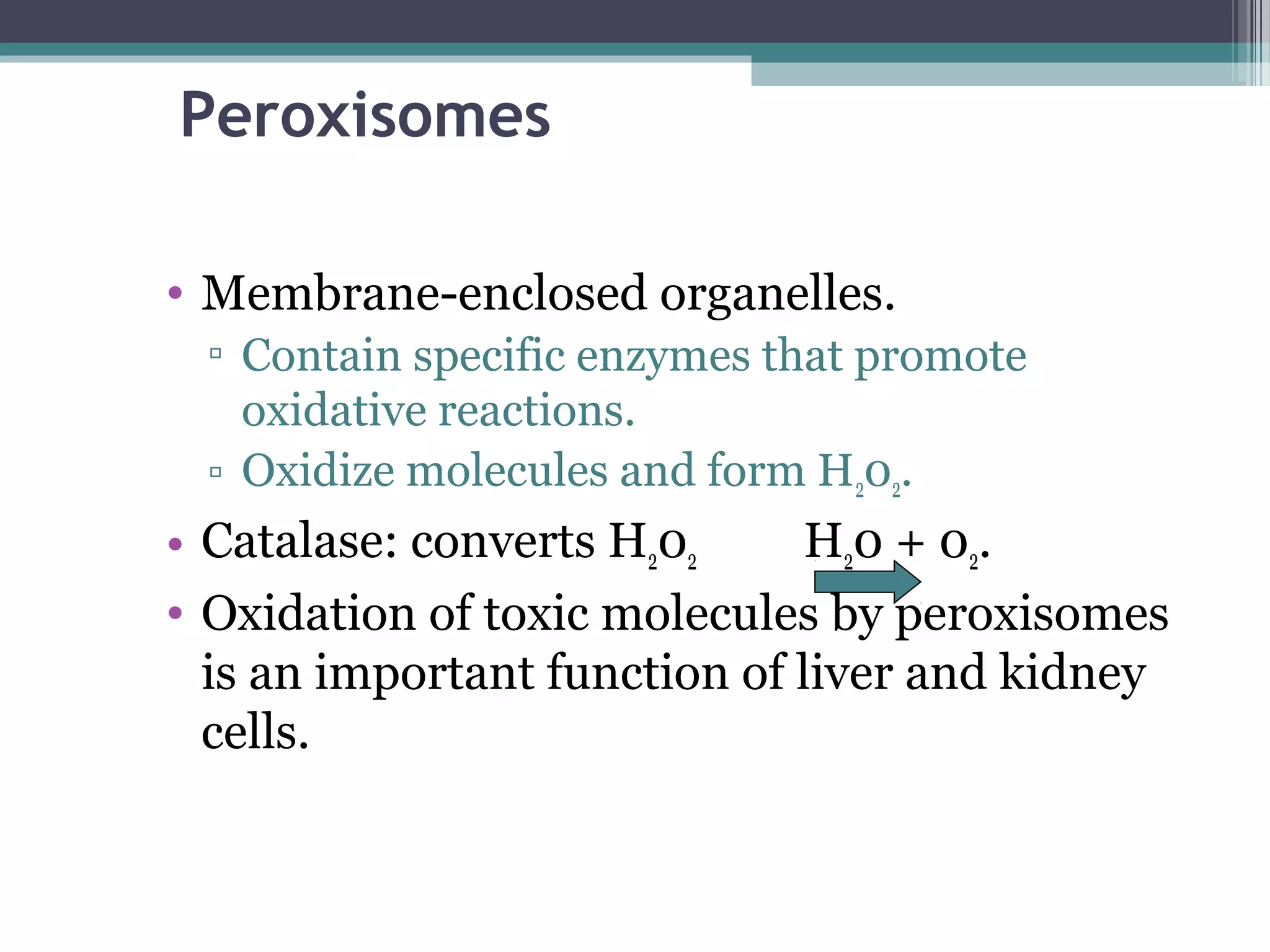 Cell structure | PPT | Biological Sciences | Science
