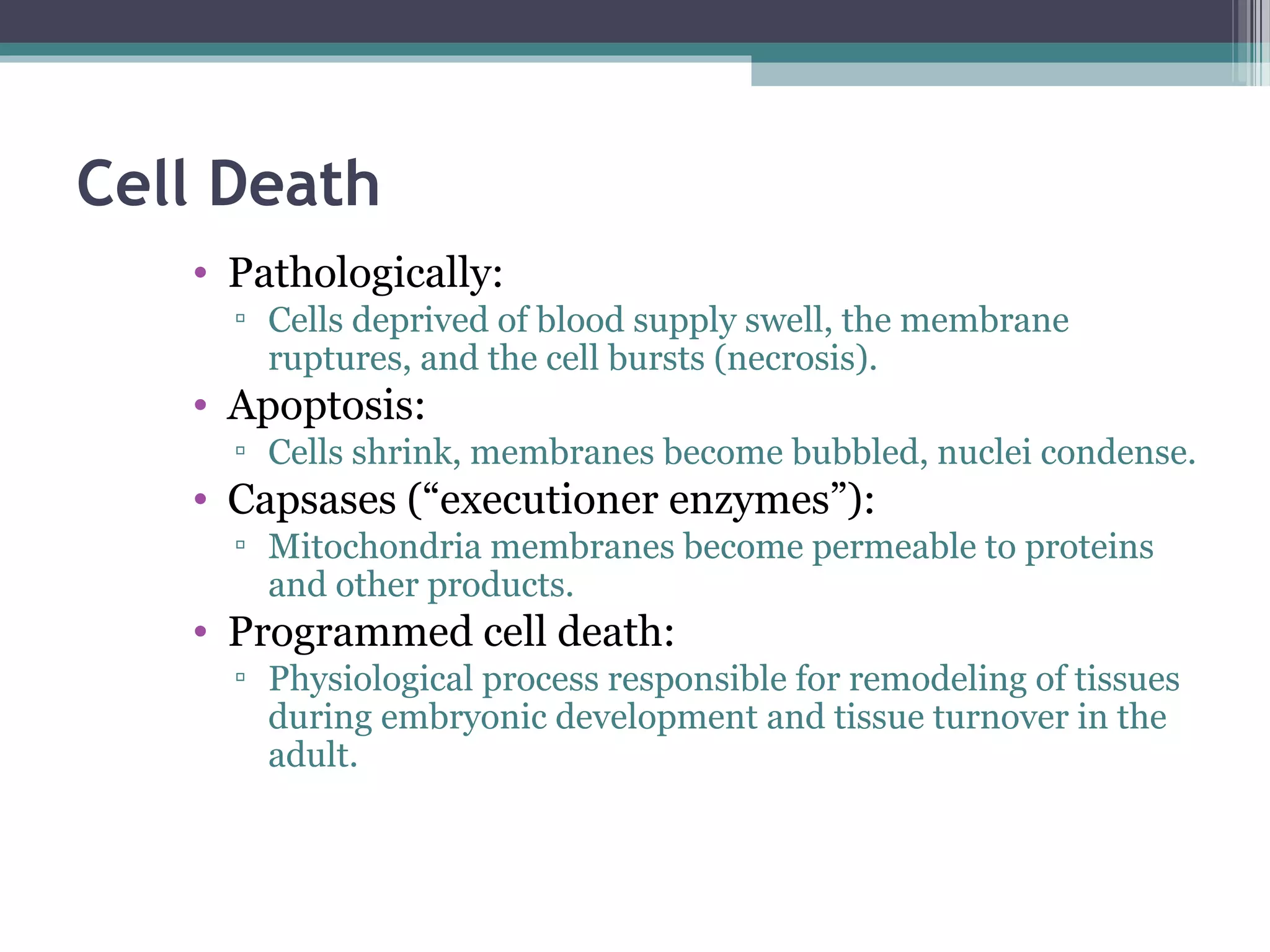 Cell structure | PPT | Biological Sciences | Science